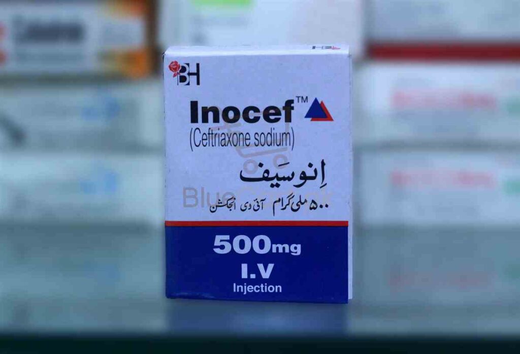 Inocef Injection 500mg Iv - Blue Cart